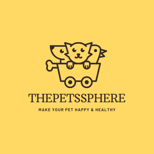 What is a Fluffy Corgi?Everything you Need to Know - The Pet's Sphere